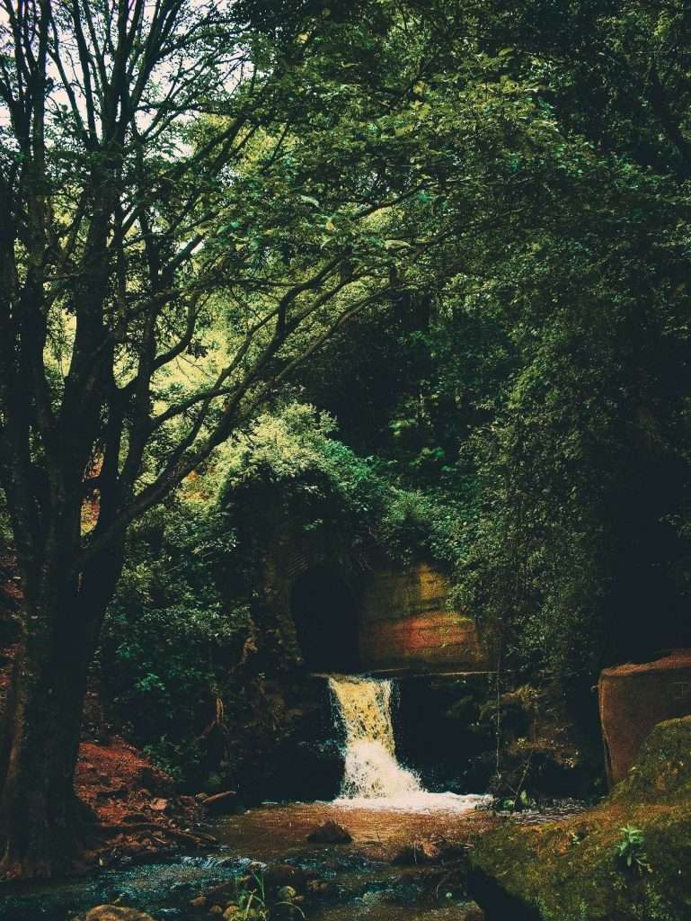 Tunneling in the Dark at Kamungu ka Nduma – Lets Drift