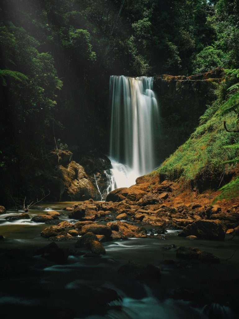 Breathtaking Kieni Forest Hiking Trail – Lets Drift