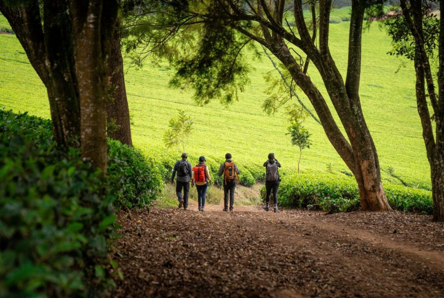 Spectacular Waterfalls in Ragia – Lets Drift